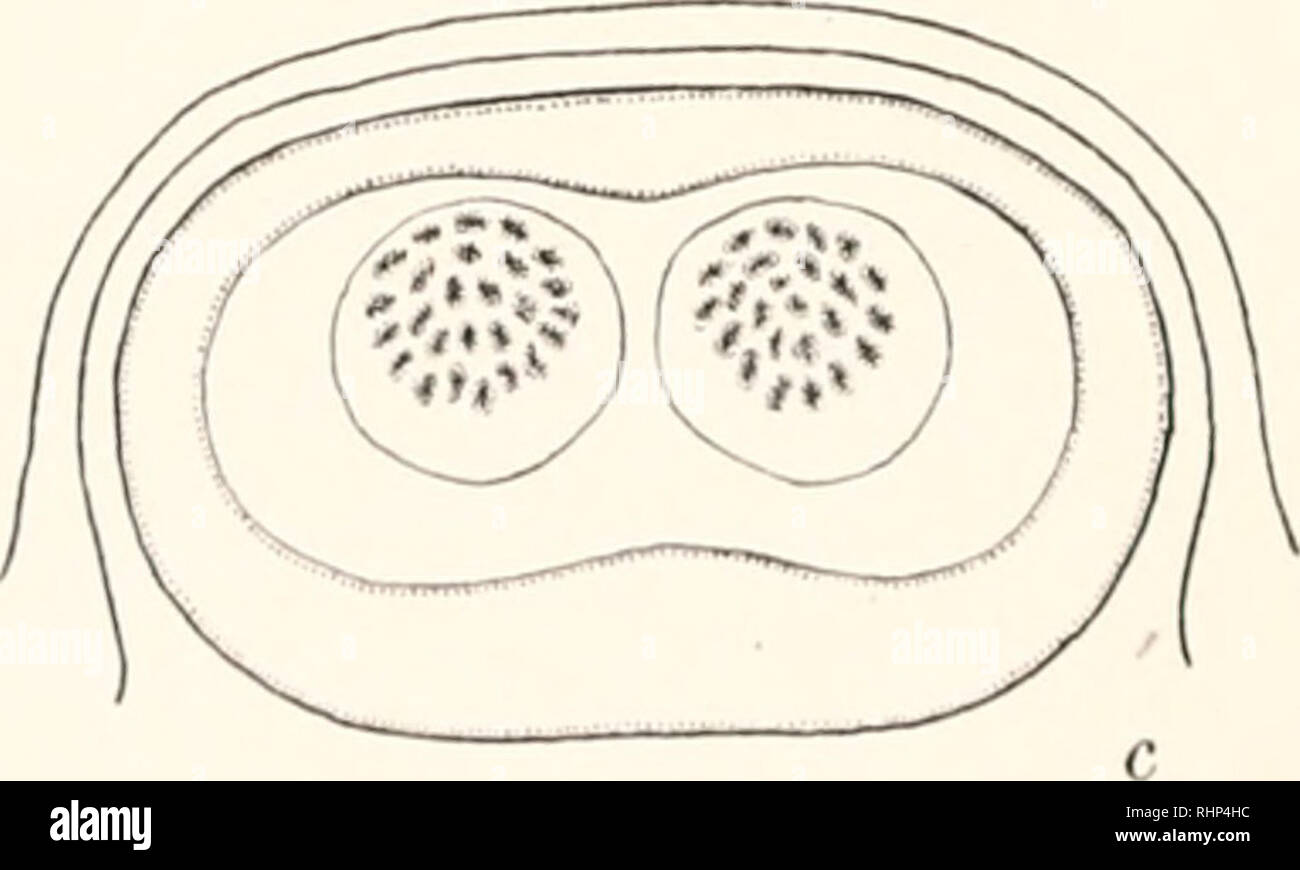 . The Biological bulletin. Biology; Zoology; Biology; Marine Biology ...