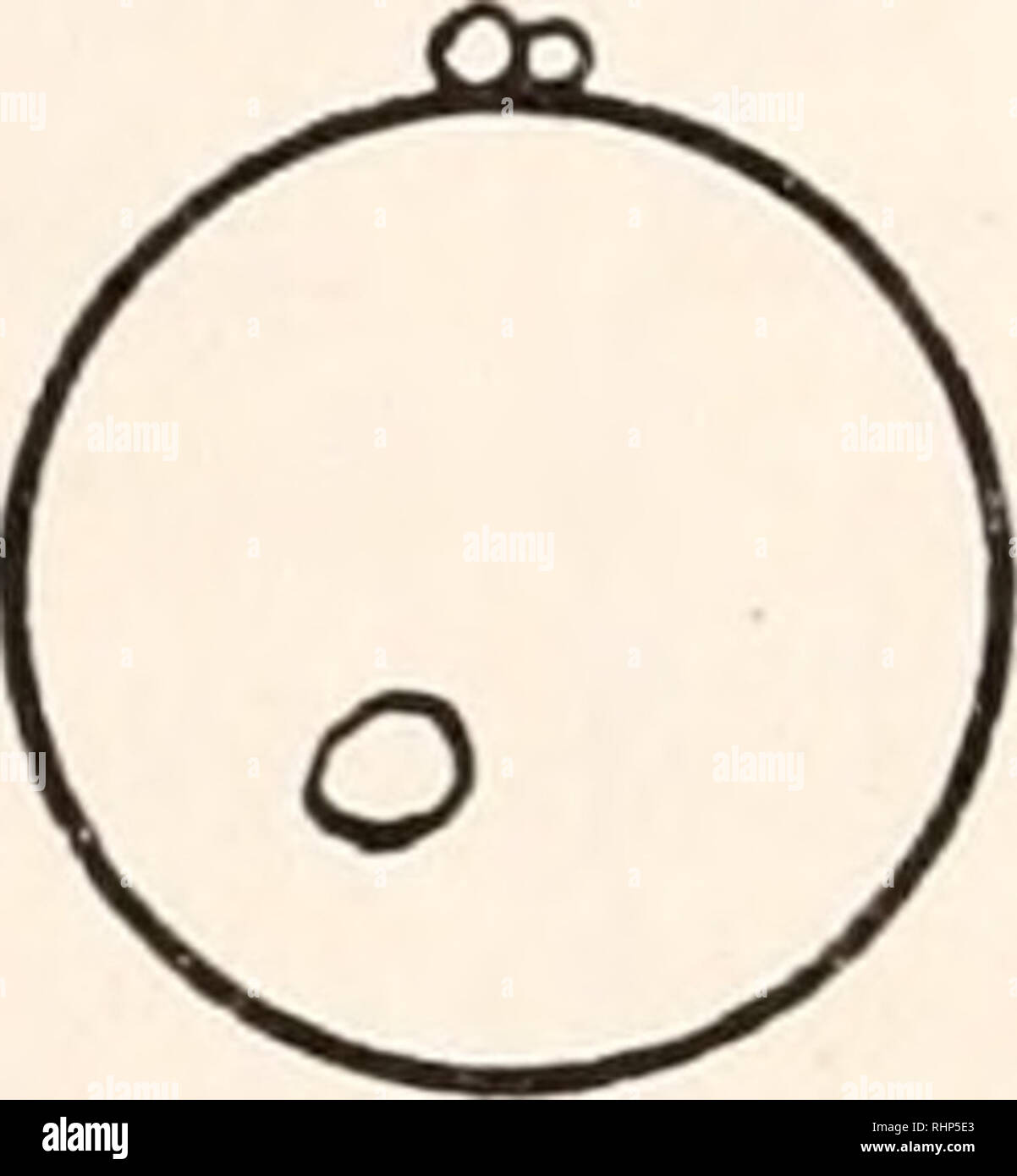 . The Biological bulletin. Biology; Zoology; Biology; Marine Biology ...