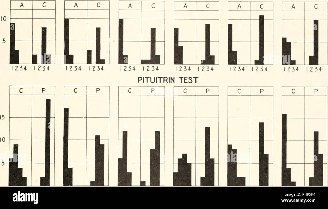 Pituitrin hi-res stock photography and images - Alamy