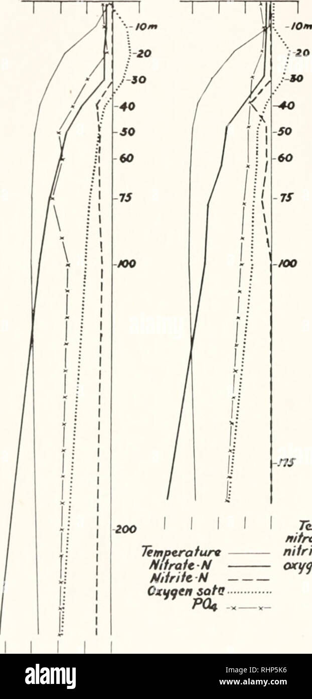Stff hi-res stock photography and images - Alamy
