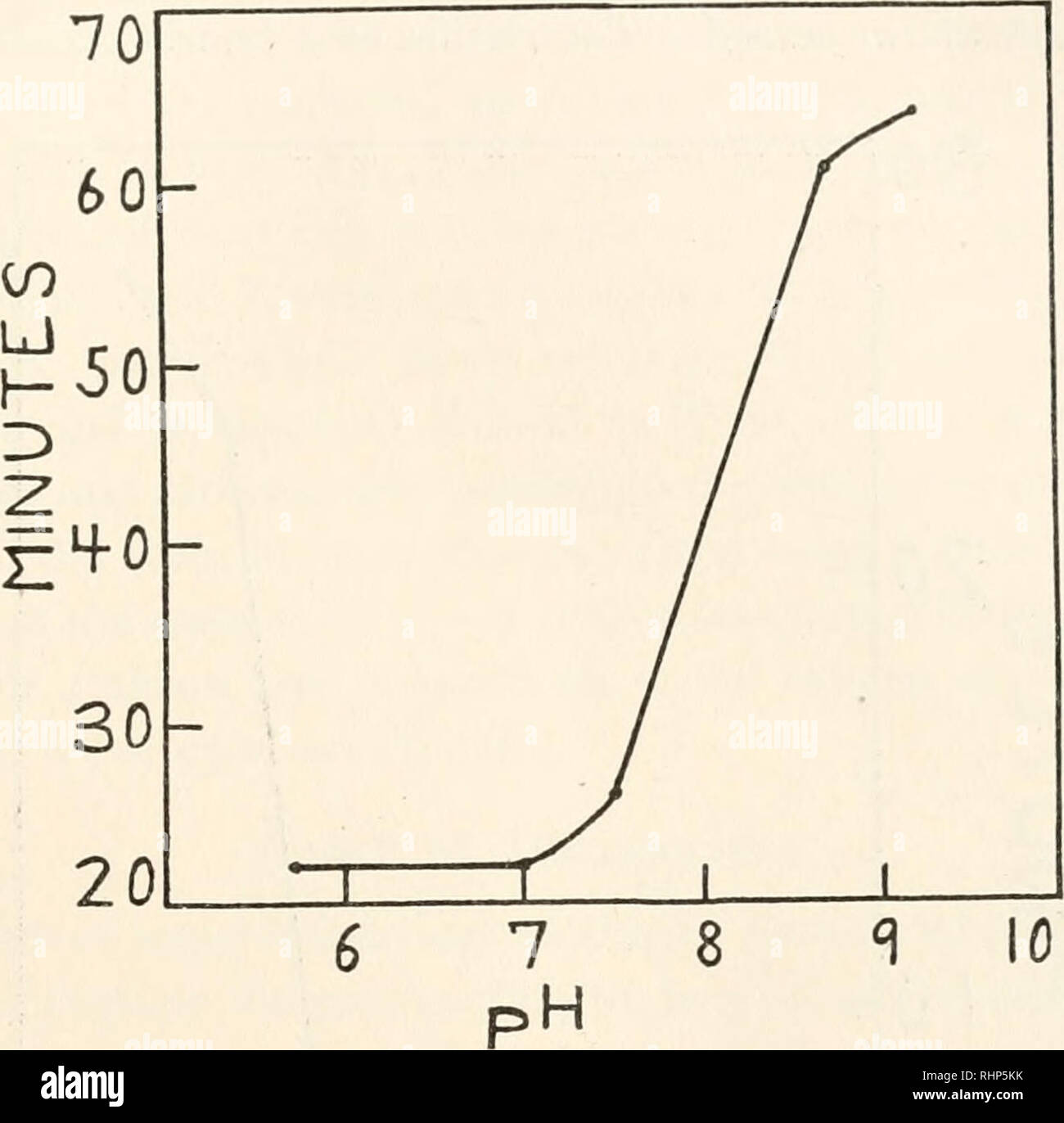 Daphnia heart hi-res stock photography and images - Alamy