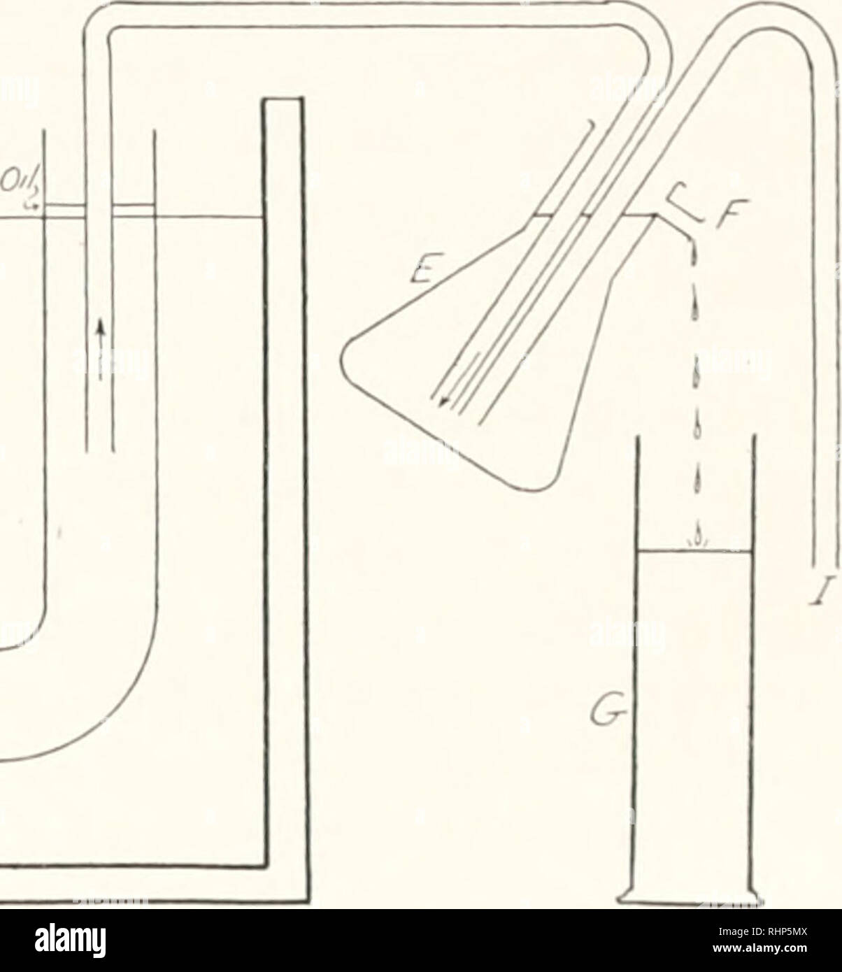 . The Biological bulletin. Biology; Zoology; Biology; Marine Biology ...