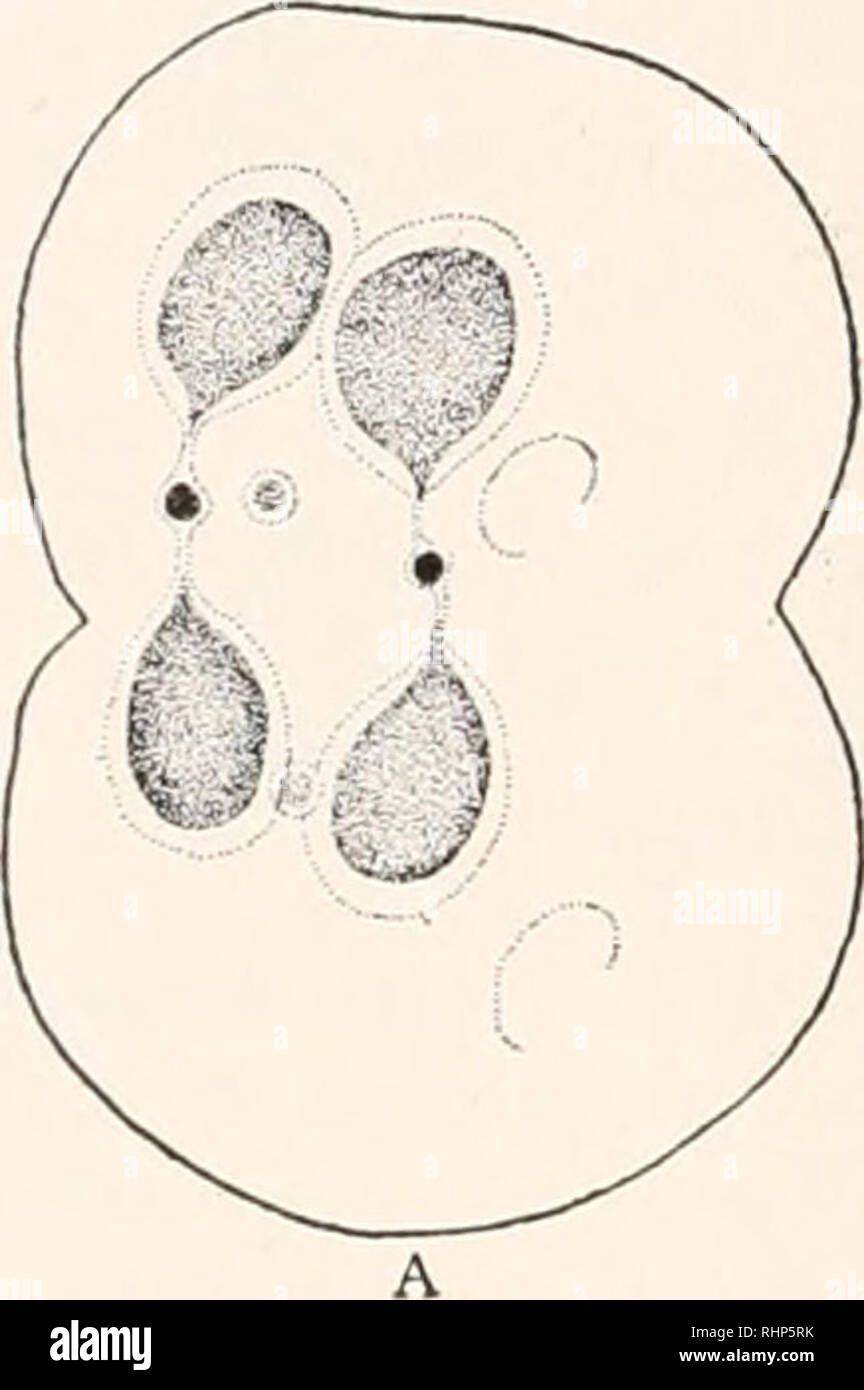 George diller hi-res stock photography and images - Alamy