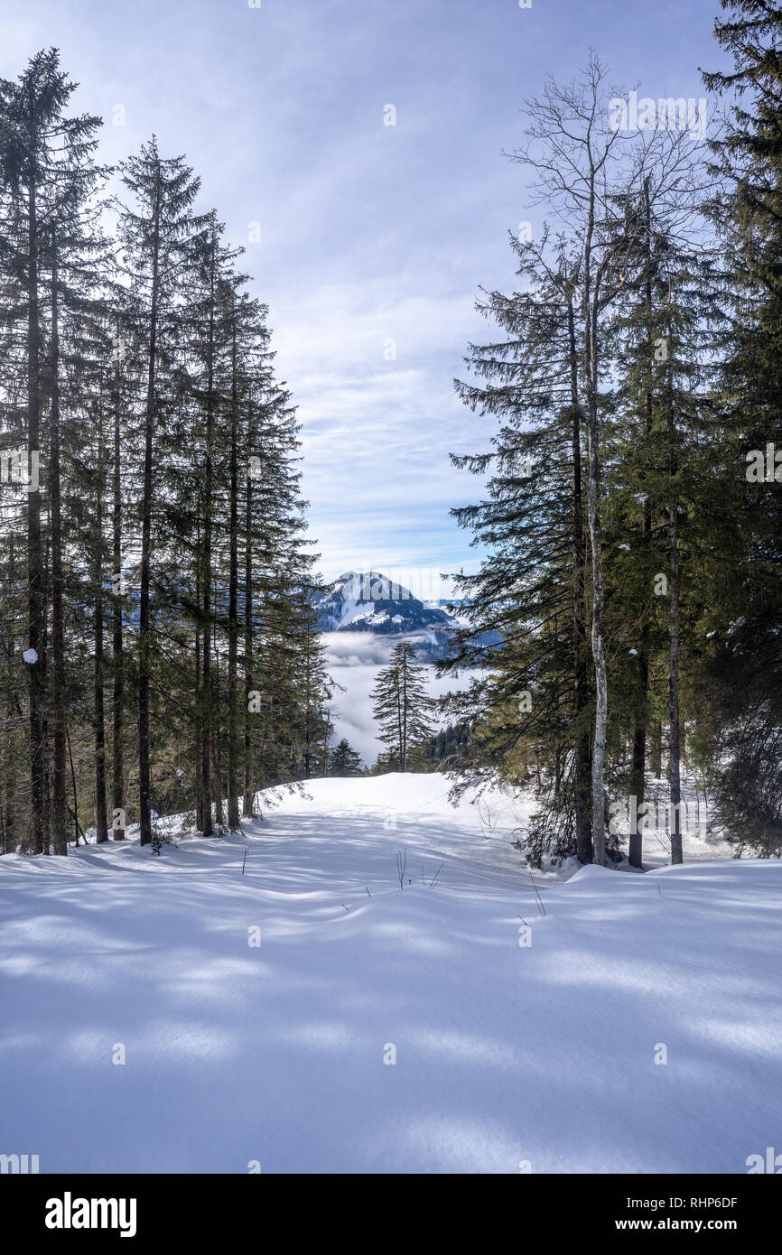 Fog is raising in an alpine panorama Stock Photo - Alamy