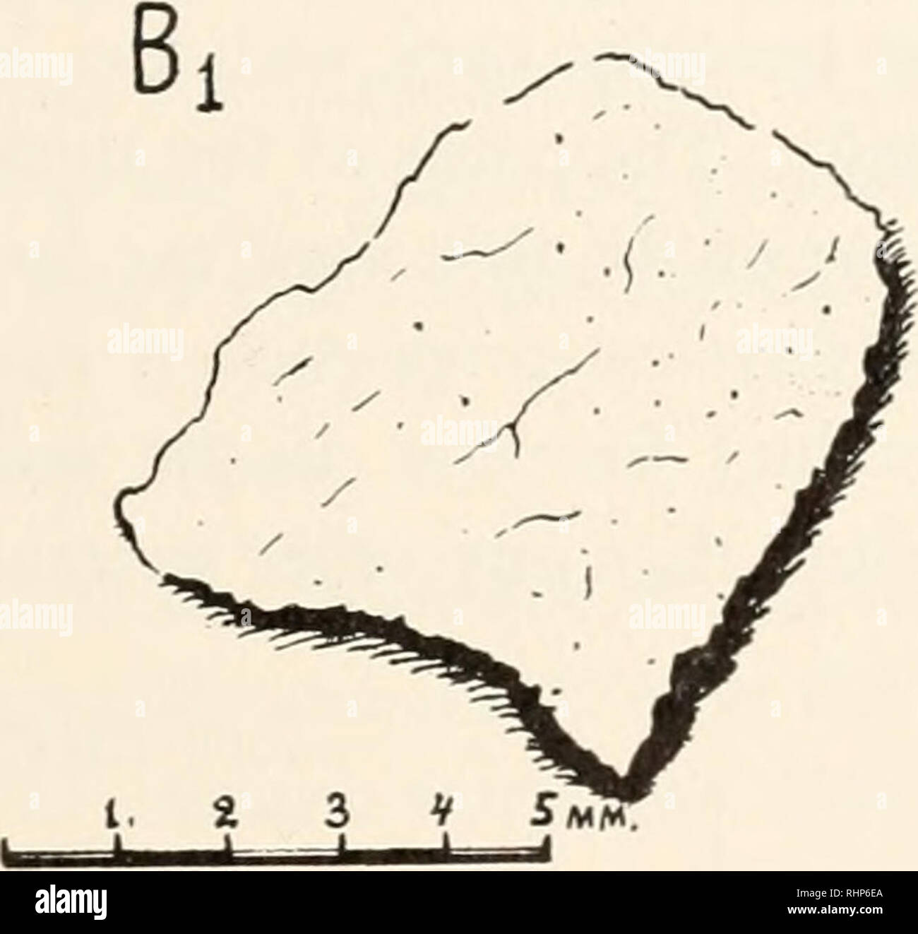 Eggshell pores hi-res stock photography and images - Alamy