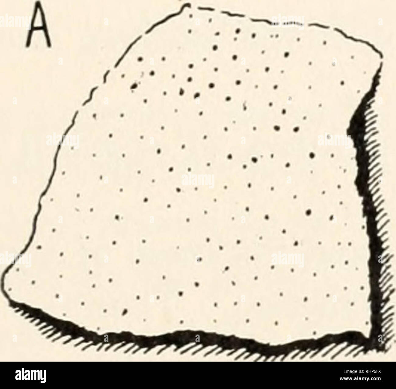 Shell less egg hi-res stock photography and images - Alamy