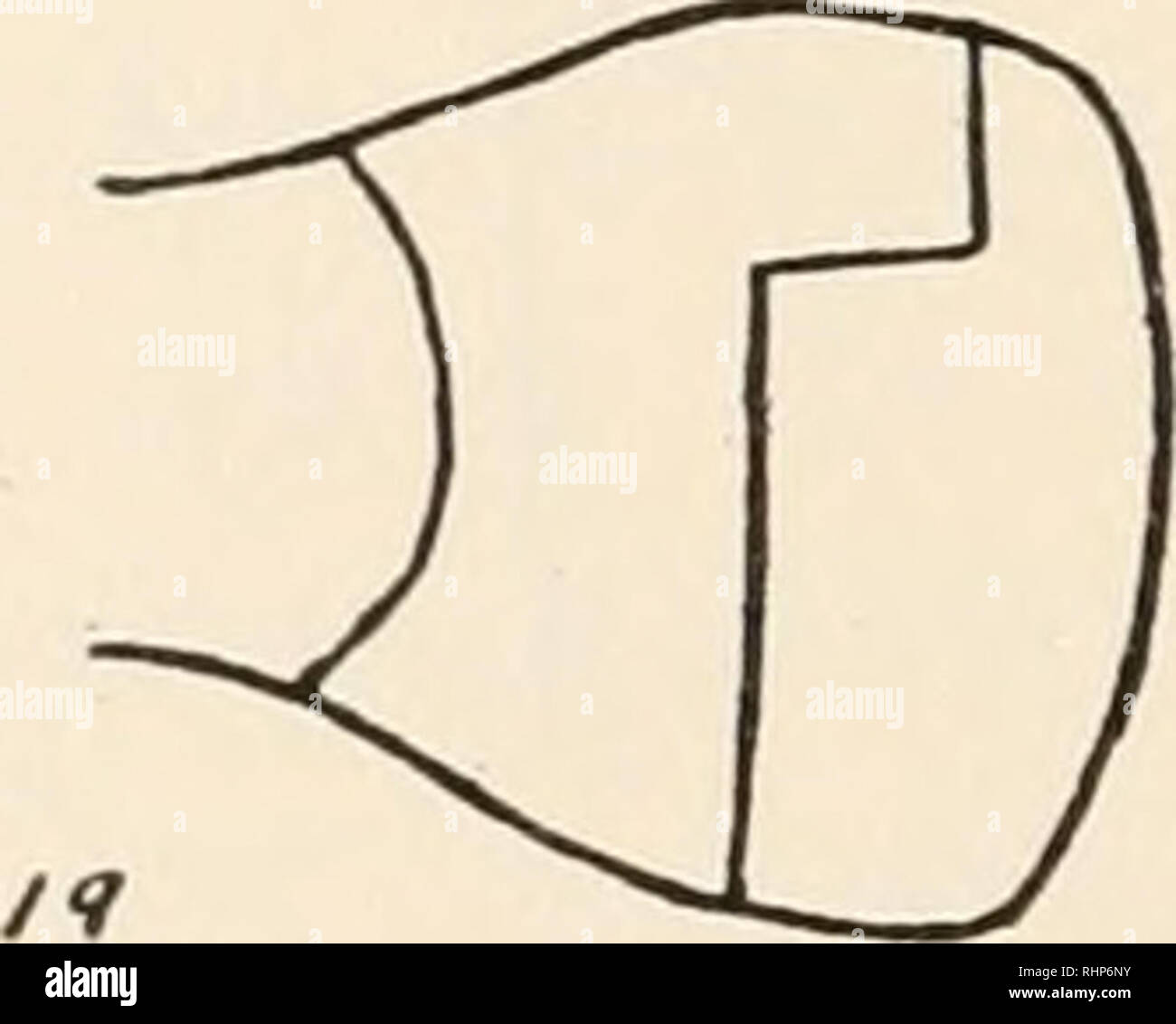 . The Biological bulletin. Biology; Zoology; Biology; Marine Biology ...