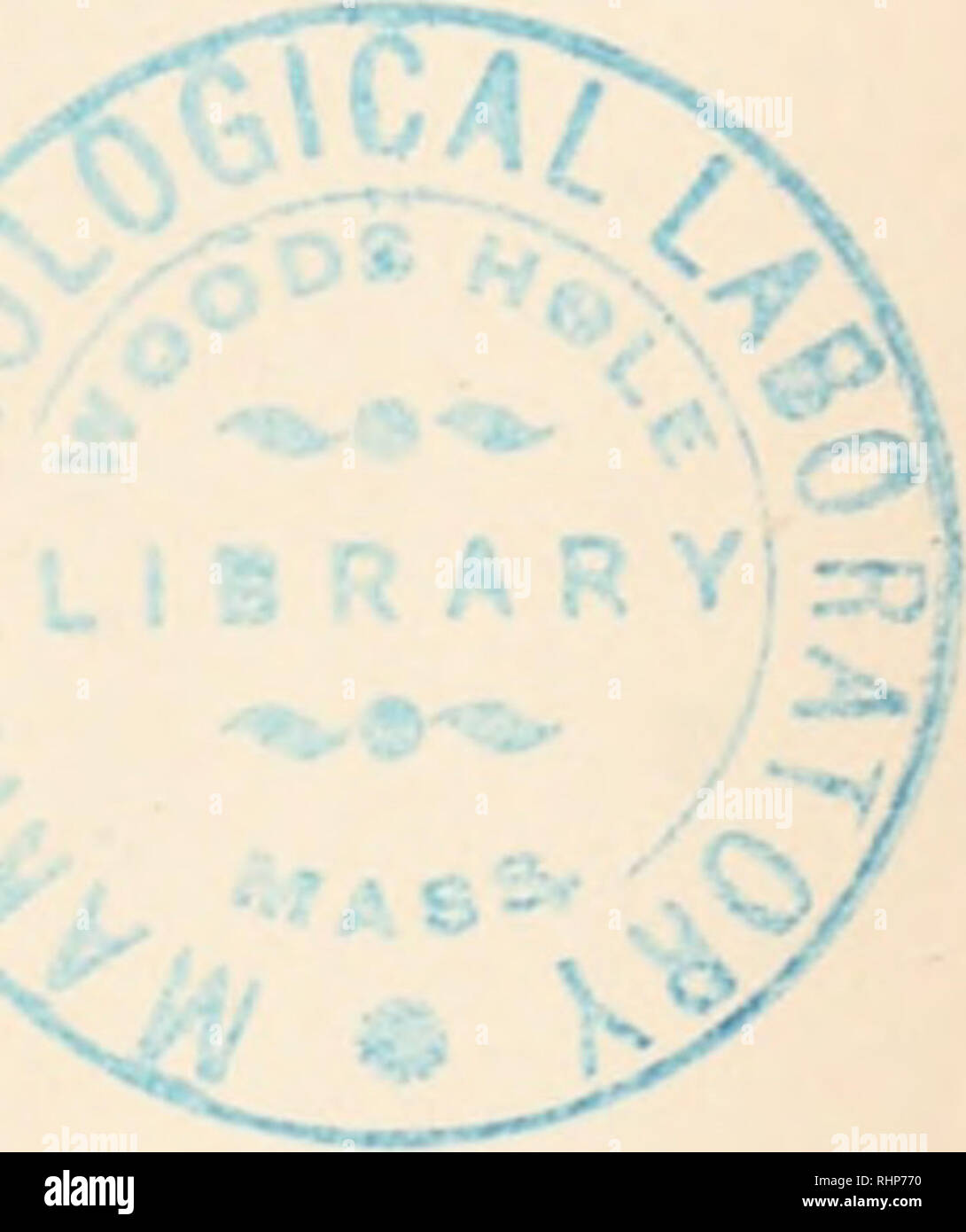 Hylje hi-res stock photography and images - Alamy