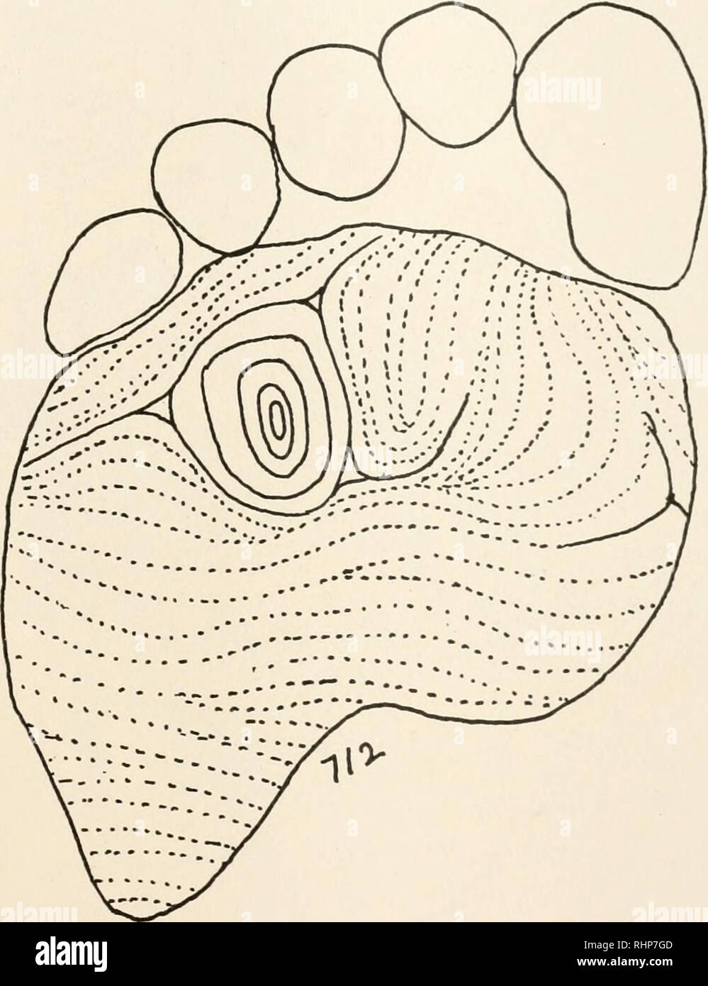 Outer edge runs hi-res stock photography and images - Alamy