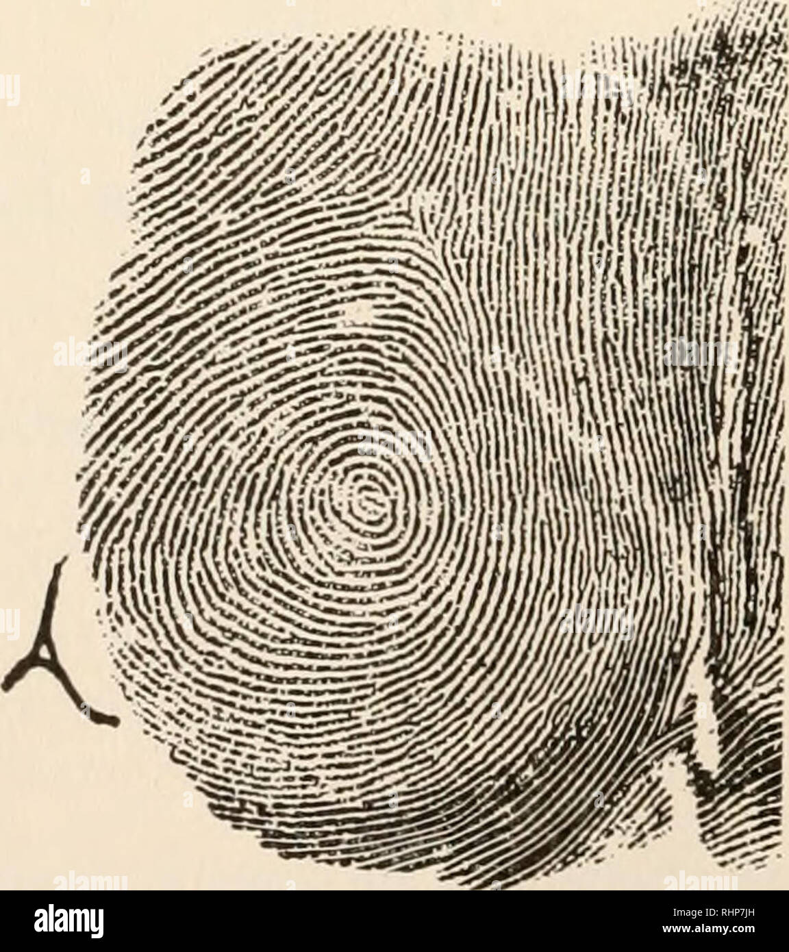 . The Biological bulletin. Biology; Zoology; Biology; Marine Biology ...