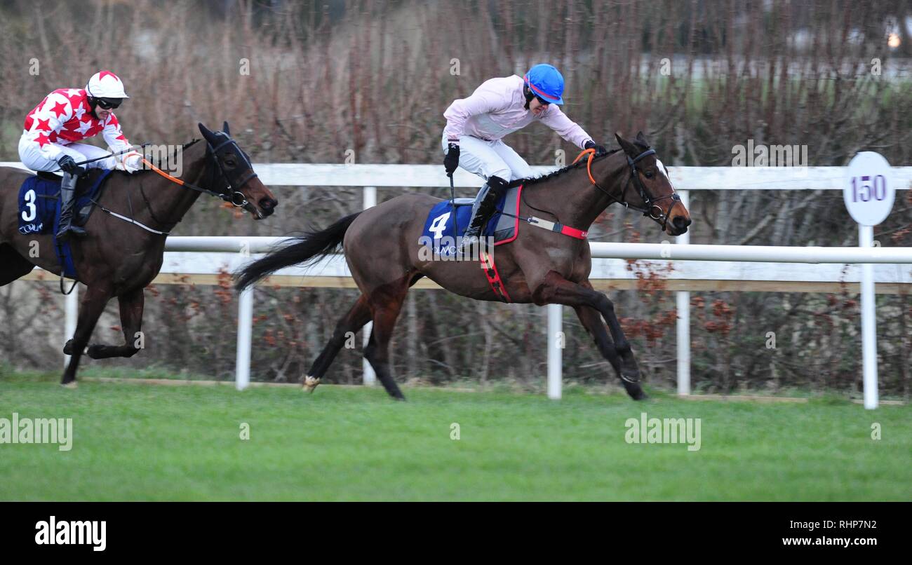 Finny hi-res stock photography and images - Alamy