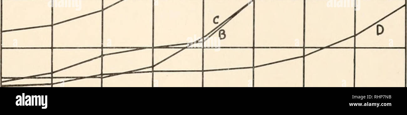 Insect metabolism hi-res stock photography and images - Alamy