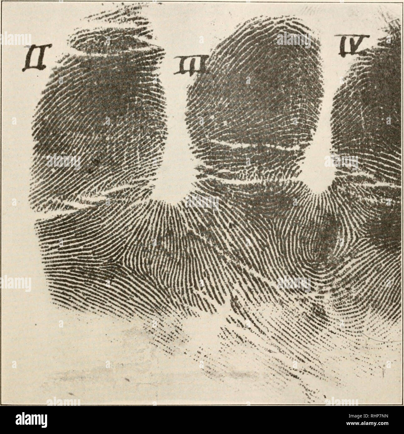 . The Biological bulletin. Biology; Zoology; Biology; Marine Biology ...