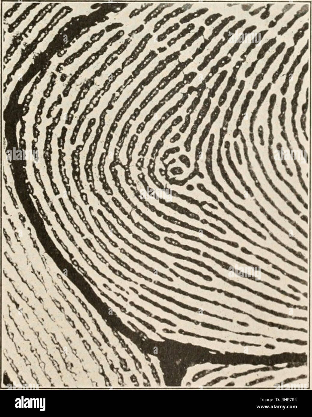 . The Biological bulletin. Biology; Zoology; Biology; Marine Biology ...