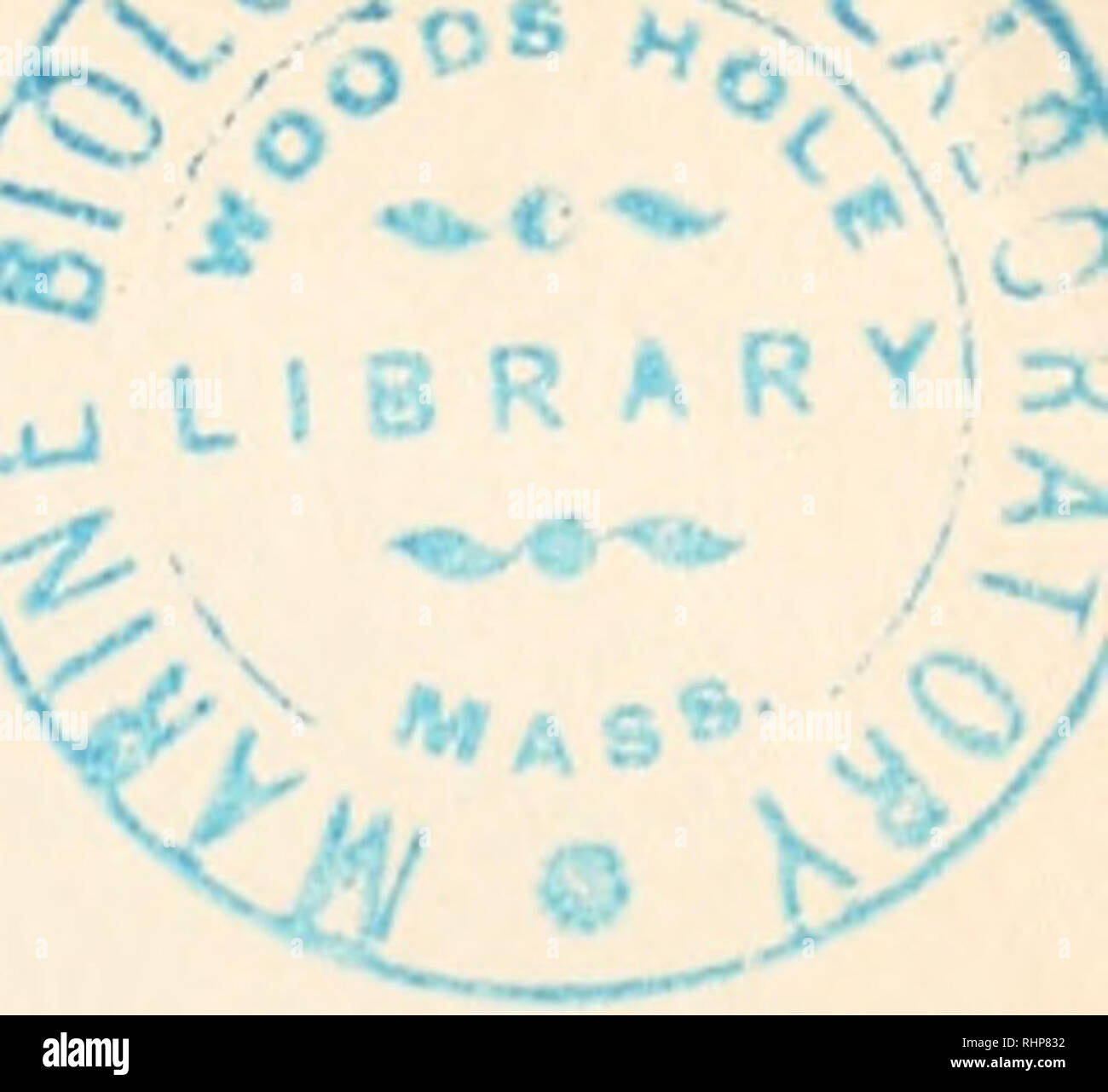 Amberson hi-res stock photography and images - Alamy