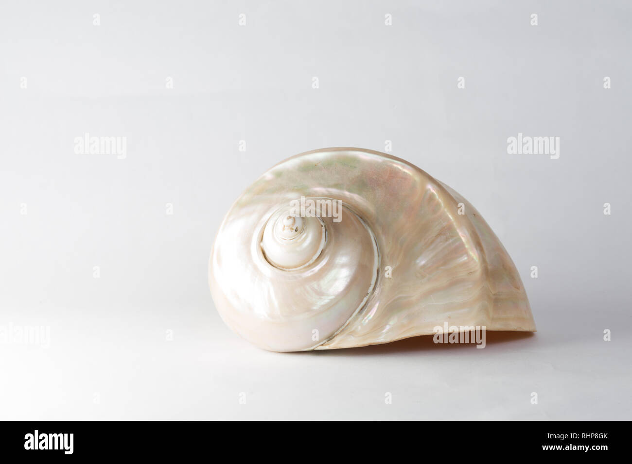 Plastic snail hi-res stock photography and images - Alamy