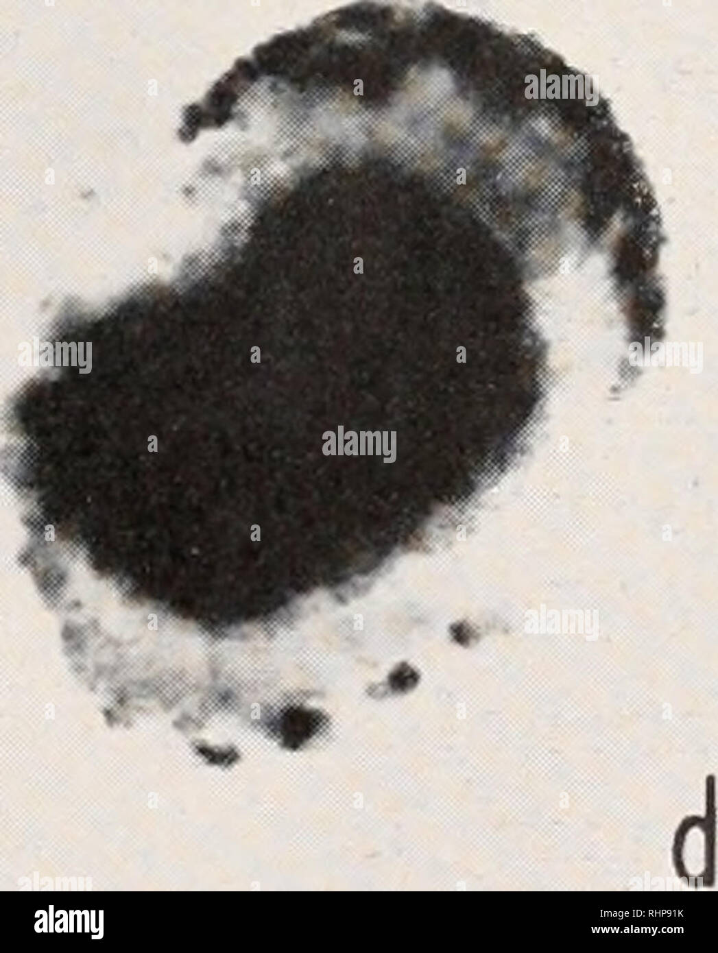 Mainly spherical hi-res stock photography and images - Alamy