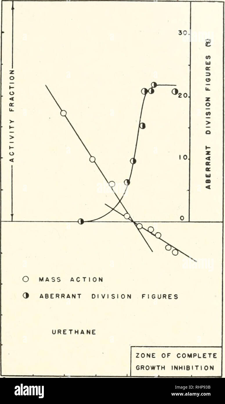 Aberrant phase hi-res stock photography and images - Alamy