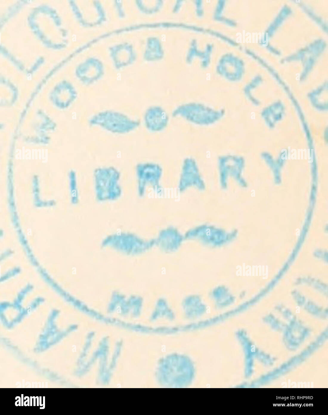 Mary belcher hi-res stock photography and images - Alamy