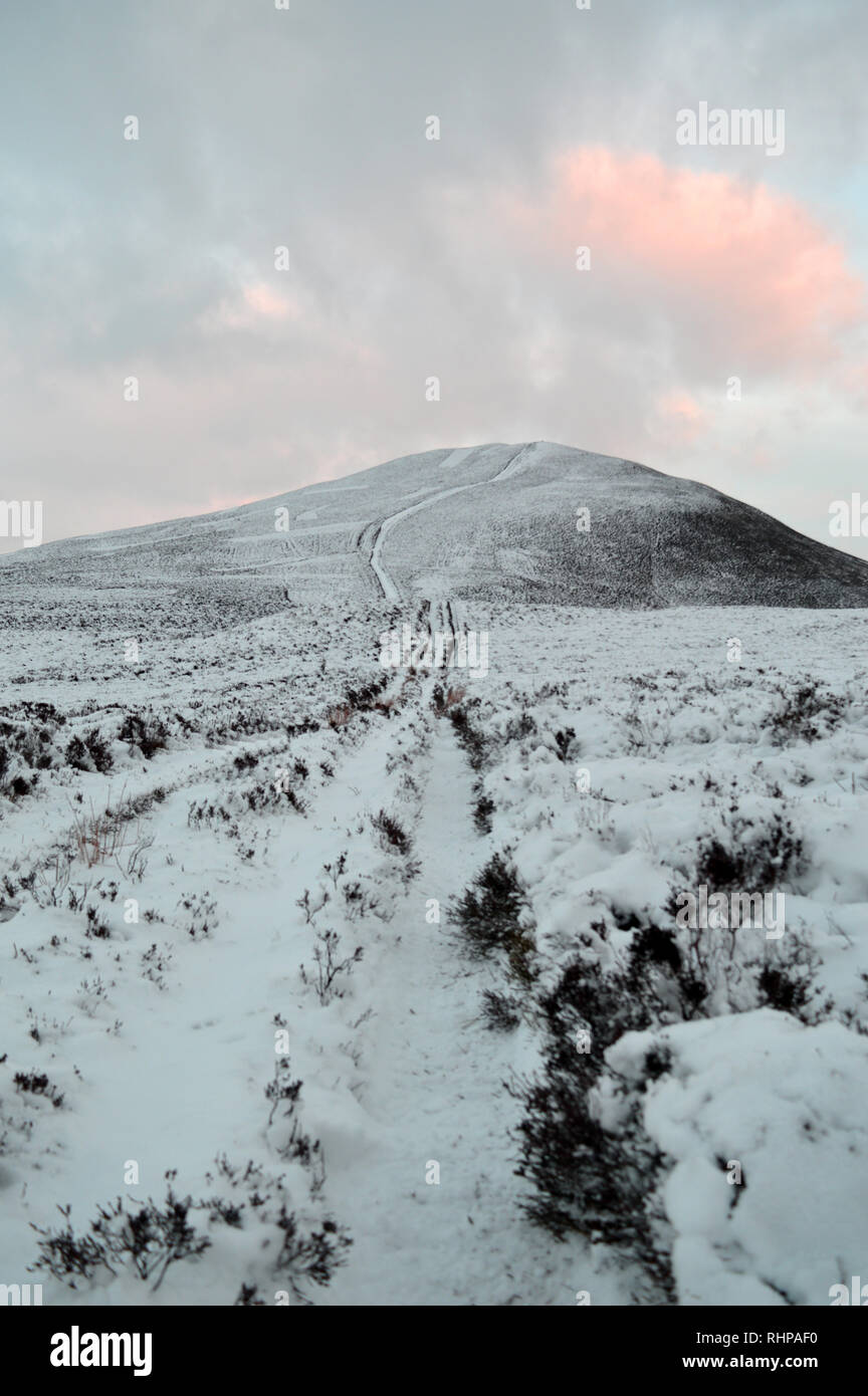 Llantysilio mountains hi-res stock photography and images - Alamy