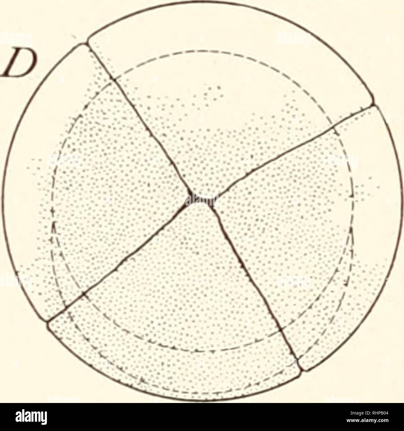 . The Biological bulletin. Biology; Zoology; Biology; Marine Biology ...