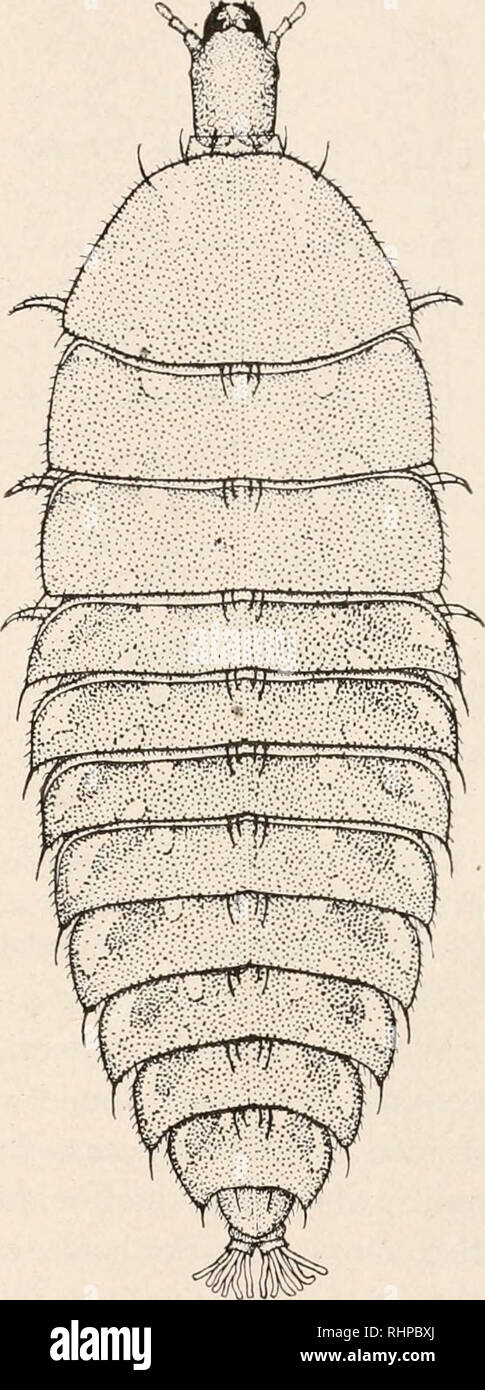 . The Biological bulletin. Biology; Zoology; Biology; Marine Biology ...