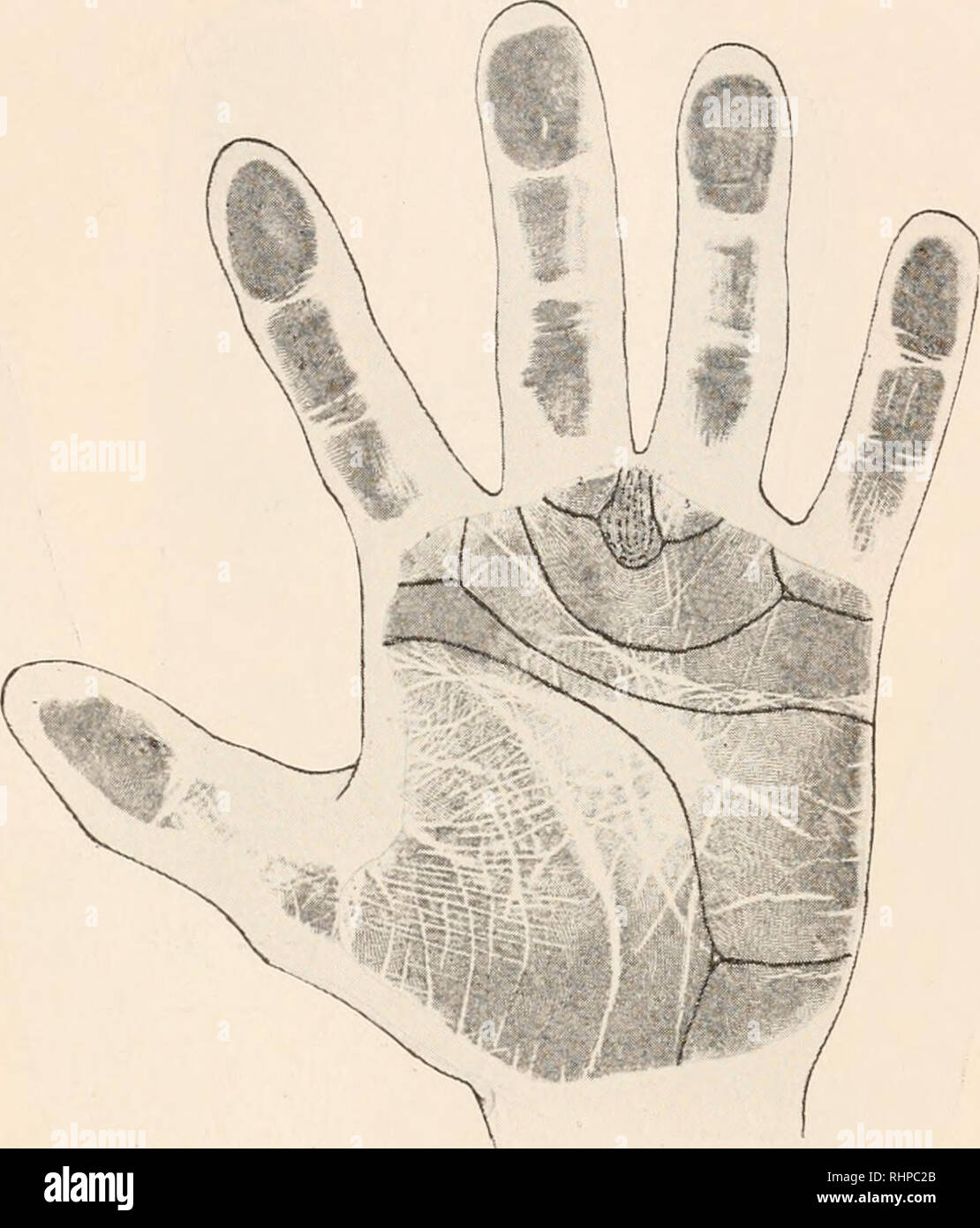 . The Biological bulletin. Biology; Zoology; Biology; Marine Biology ...