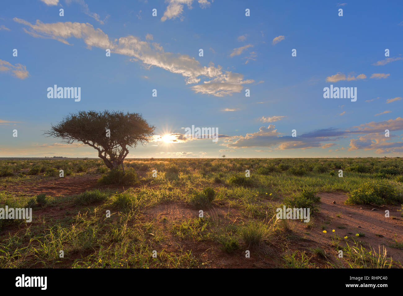Green Kalahari Sunset Stock Photo - Alamy