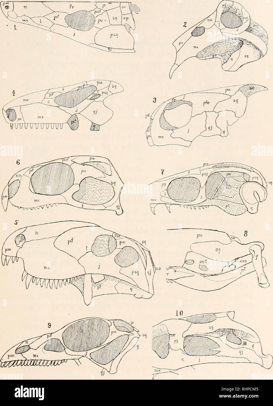 . The Biological bulletin. Biology; Zoology; Biology; Marine Biology ...