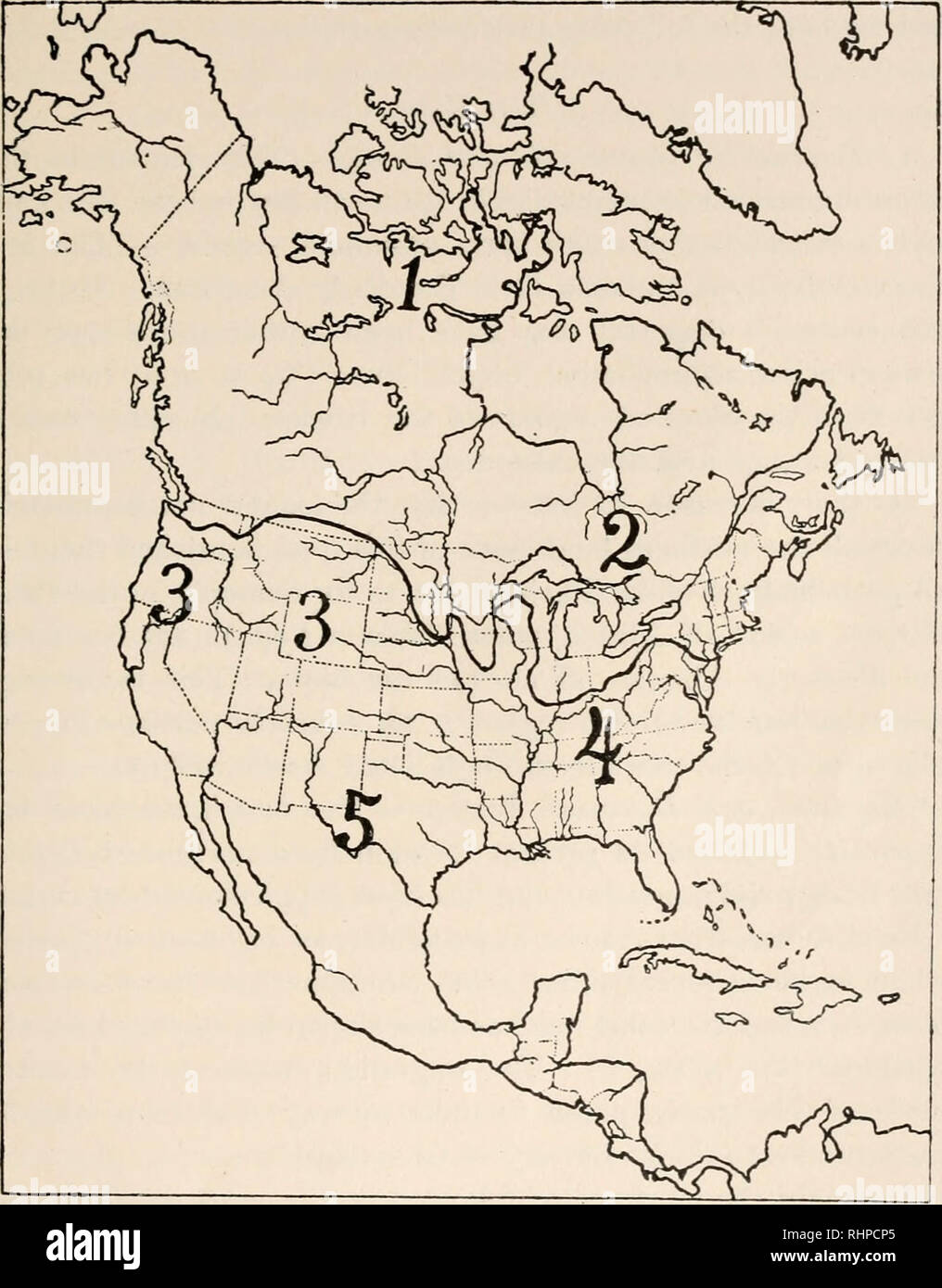 . The Biological bulletin. Biology; Zoology; Biology; Marine Biology ...