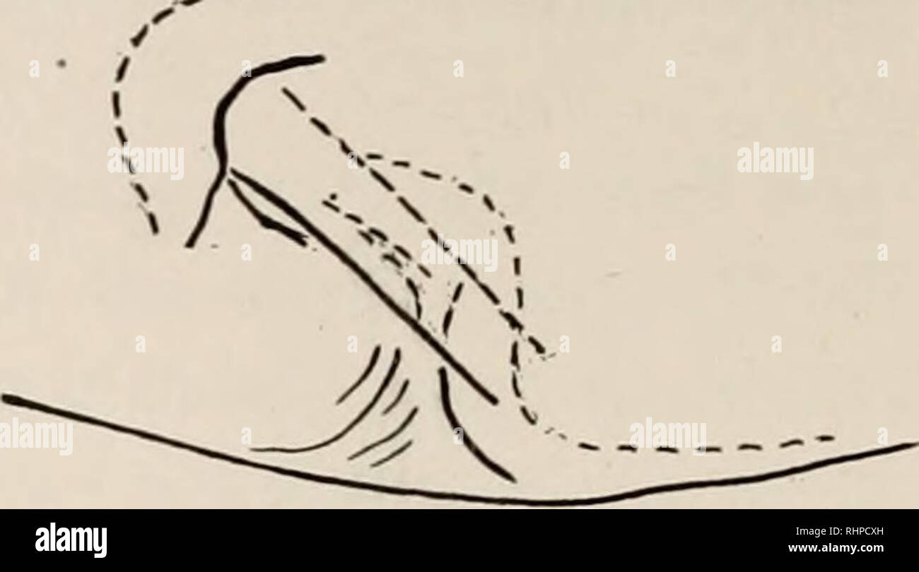 Unusual bending to the right hi-res stock photography and images - Alamy