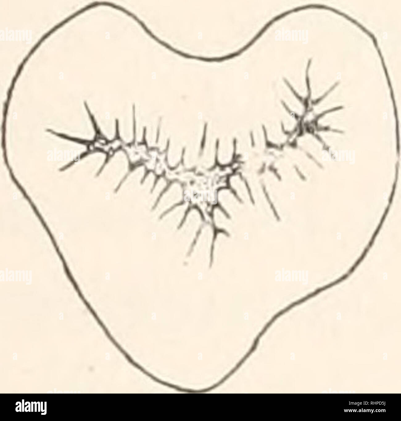 Weakest piece hi-res stock photography and images - Alamy