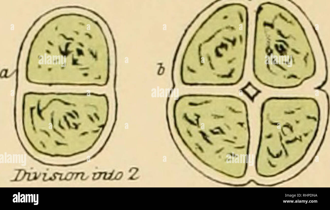 Jodine hi-res stock photography and images - Alamy