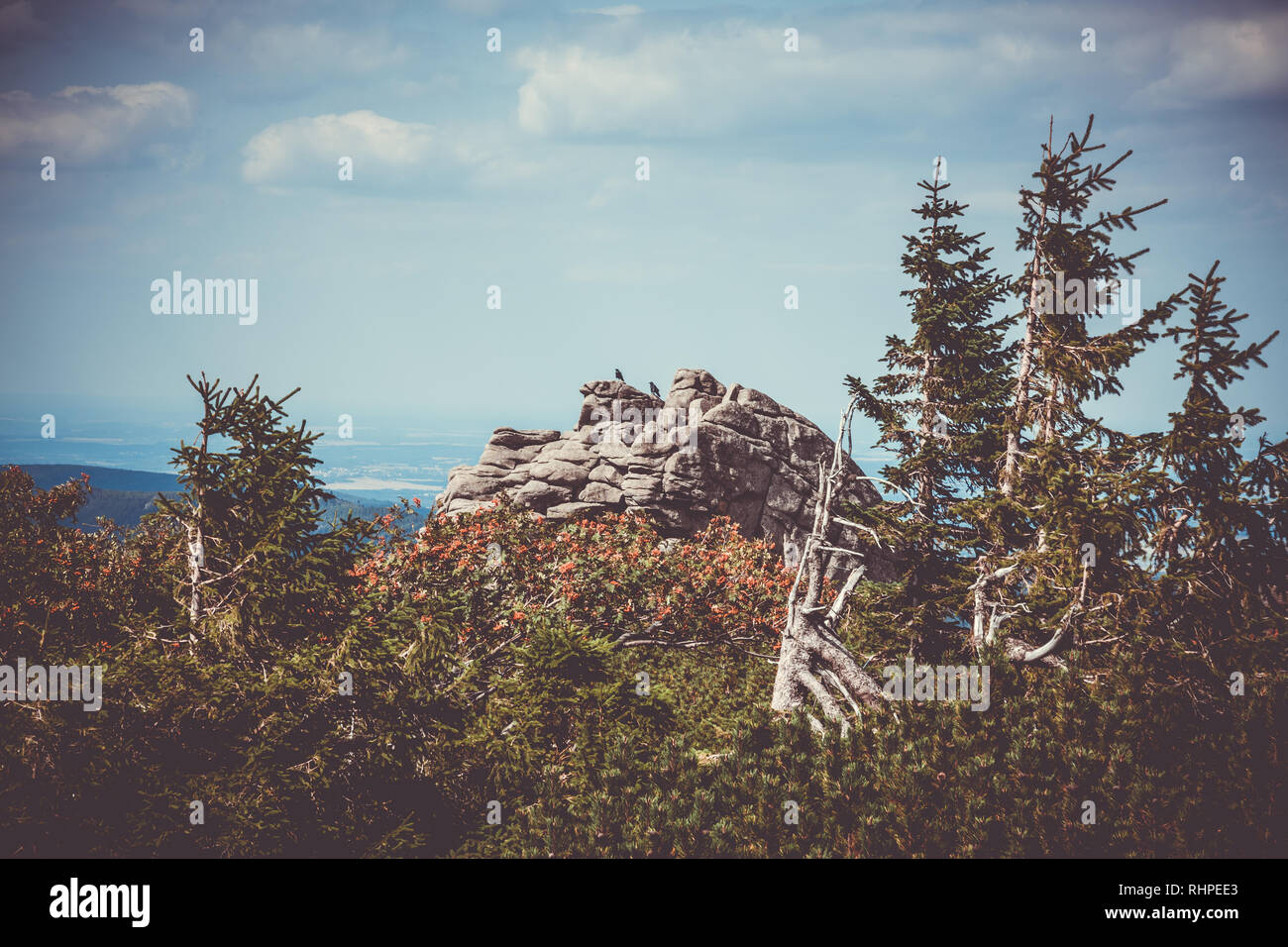 Giant raven hi-res stock photography and images - Alamy