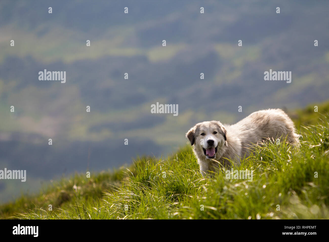 Clever use of outdoor space hi-res stock photography and images - Alamy