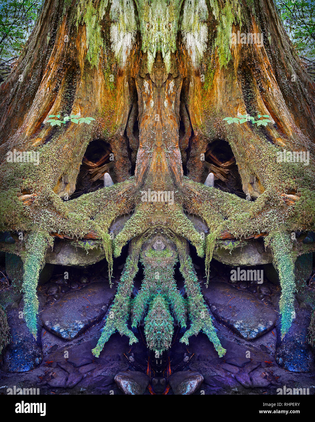 Anthropomorphic Tree