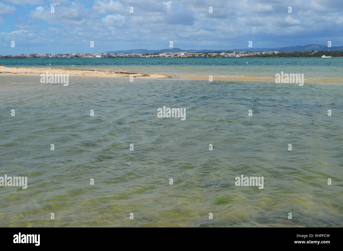 Salt marshes in Armona island, part of the Ria Formosa Natural Park in ...