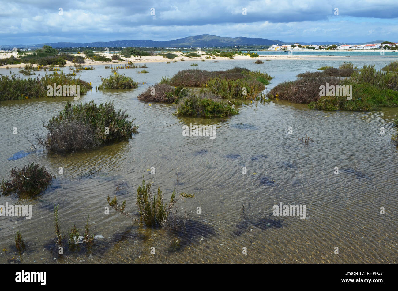 Part of ria formosa nature reserve hi-res stock photography and images ...