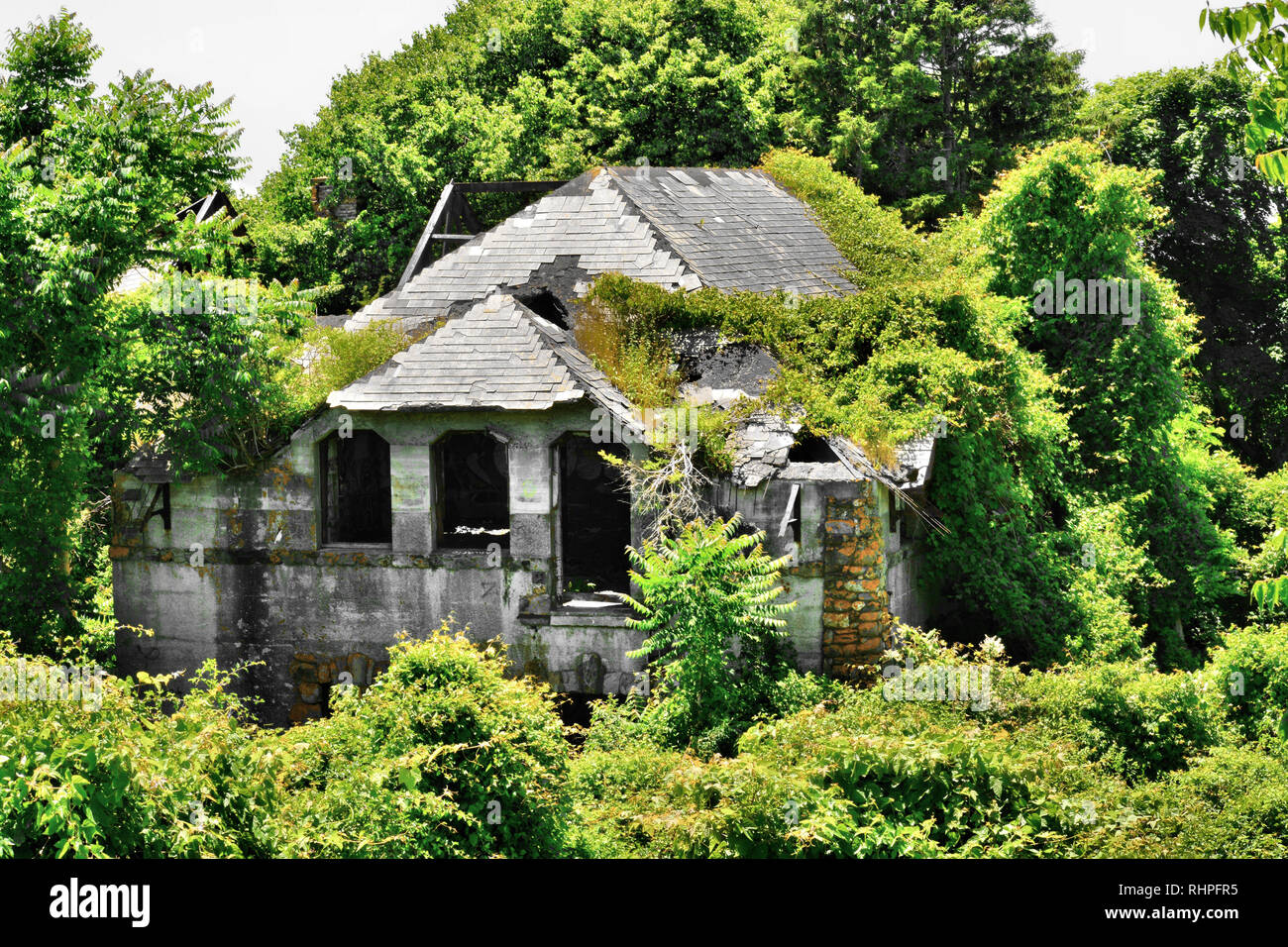 Overtaken by nature hi-res stock photography and images - Alamy