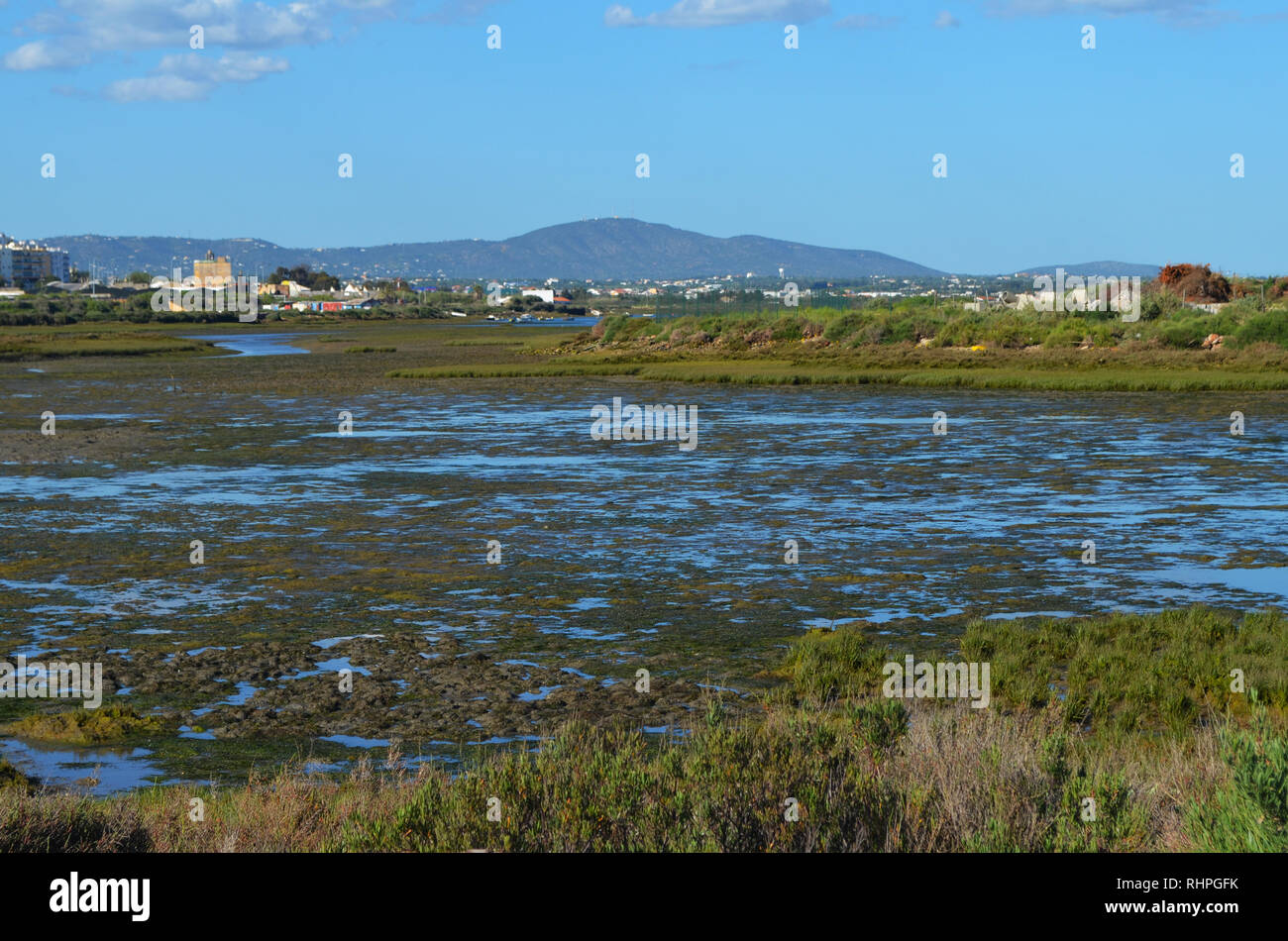 Coastal lagoon in the Ria Formosa Natural Park, Algarve, southwestern ...