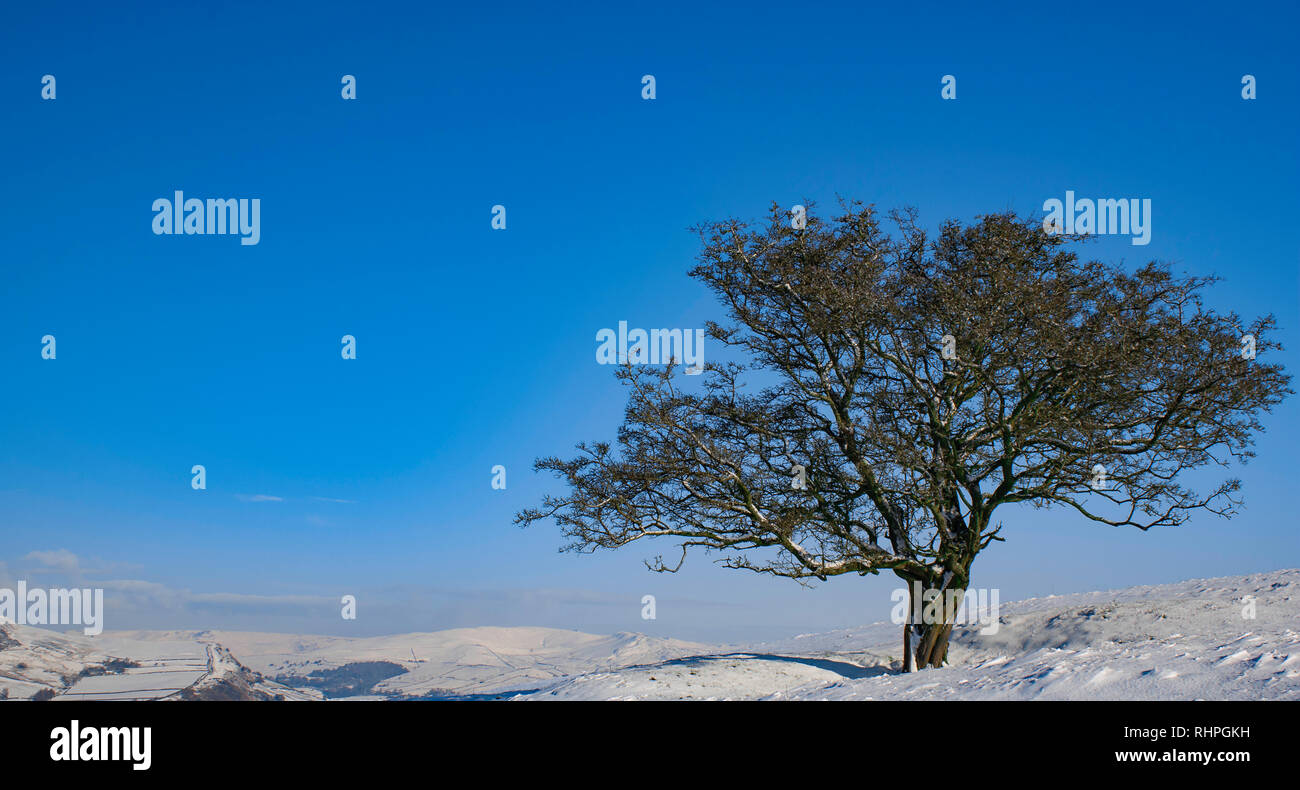 Hilltop tree hi-res stock photography and images - Alamy
