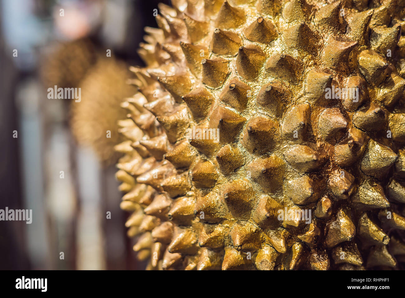 Golden durian fruit of Asia. Durian, painted with gold paint Stock ...