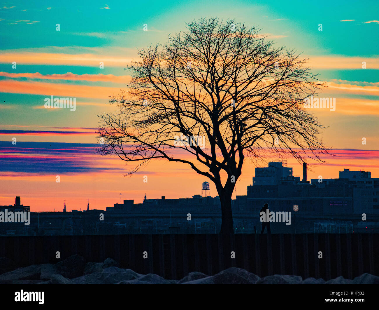 Man and Tree Silhouette Stock Photo - Alamy