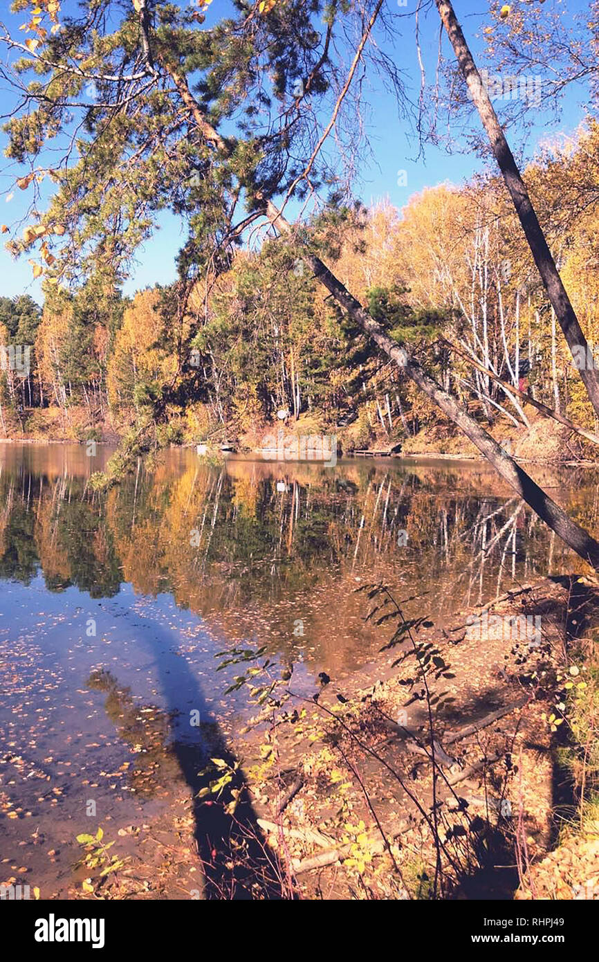 autumn forest landscape near the water Stock Photo - Alamy
