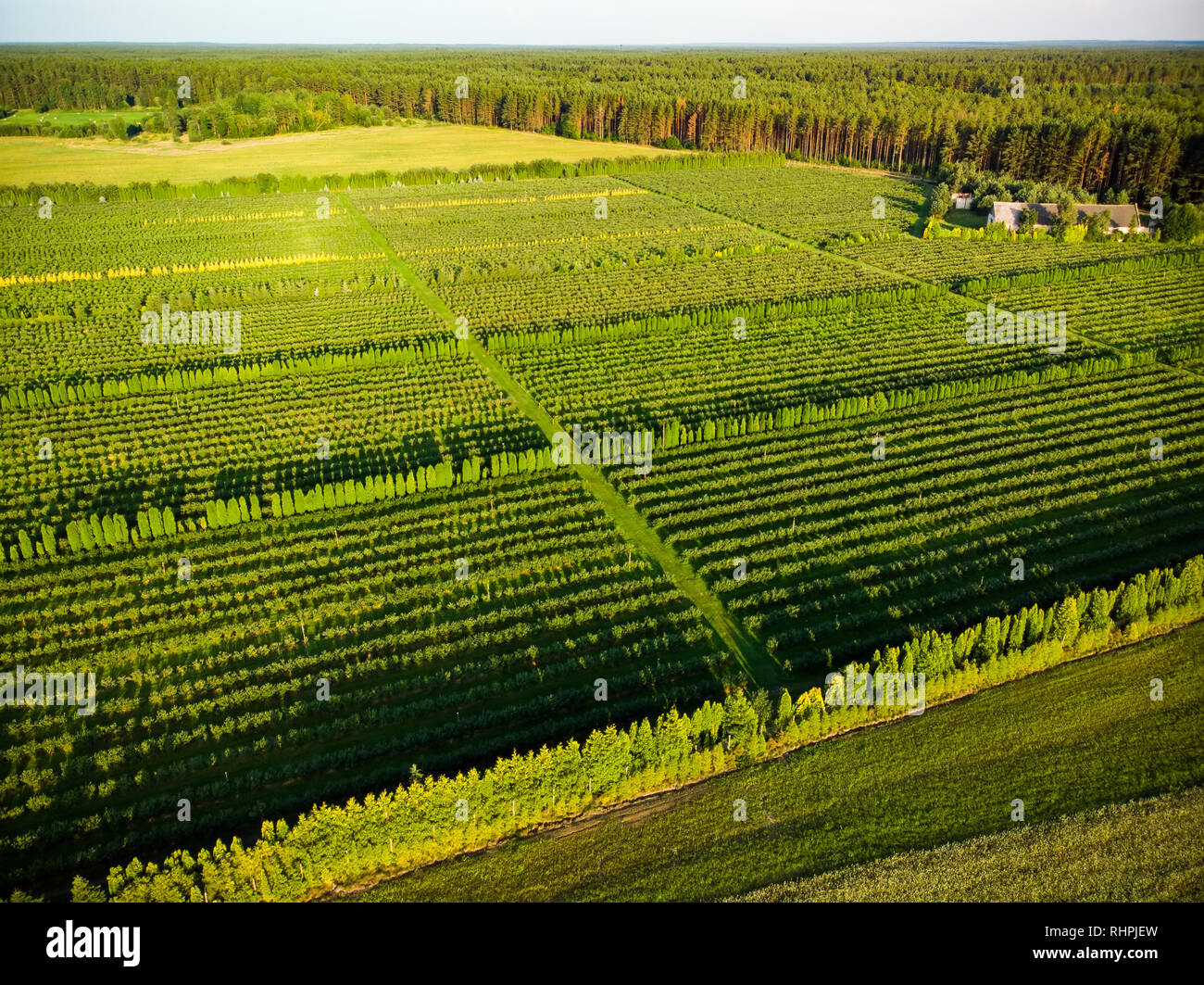 Geometric shapes agricultural parcels in hi-res stock photography and ...