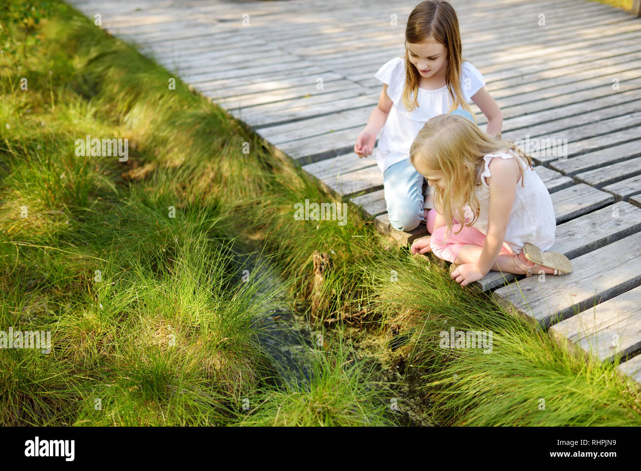 Two adorable young girls catching babyfrogs in summer forest. Children ...
