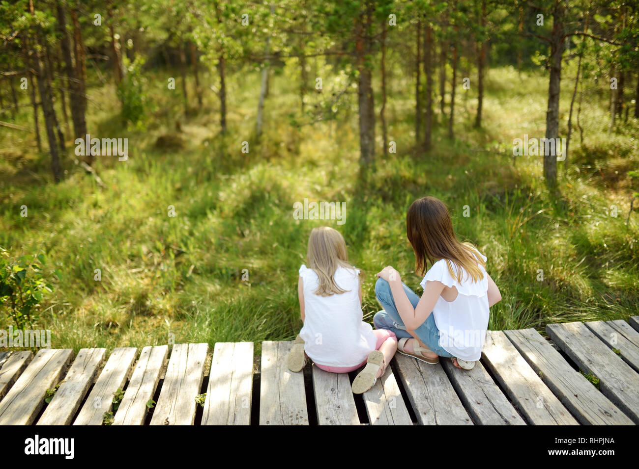 Two adorable young girls catching babyfrogs in summer forest. Children ...