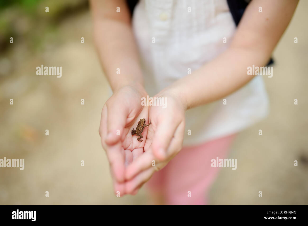 Adorable little girl catching little babyfrogs on beautiful summer day ...