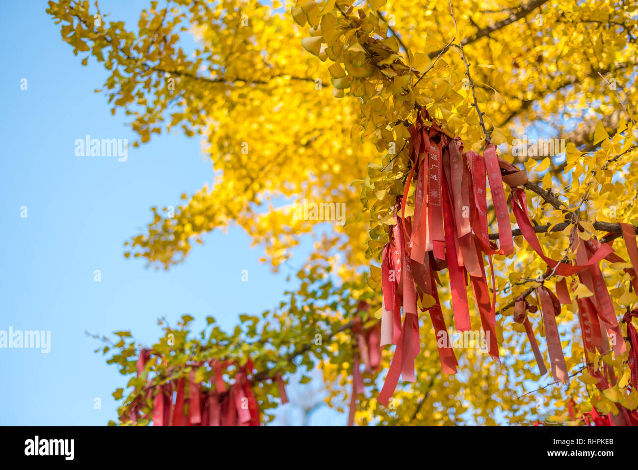 Prayer ribbon hi-res stock photography and images - Alamy