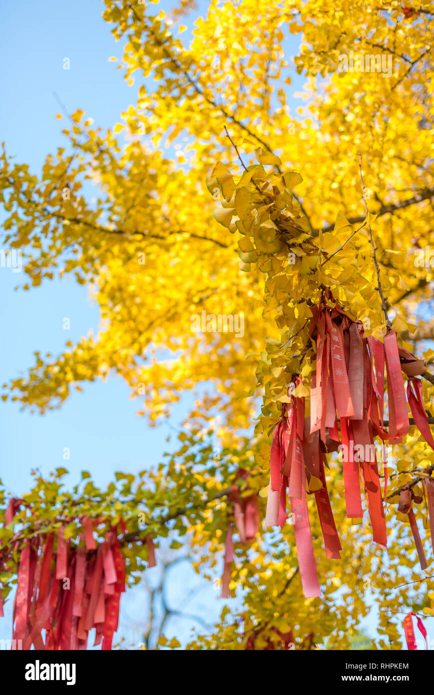 Yunding Shicheng, Sichuan province, China - Nov 29, 2015 : Red ribbons ...